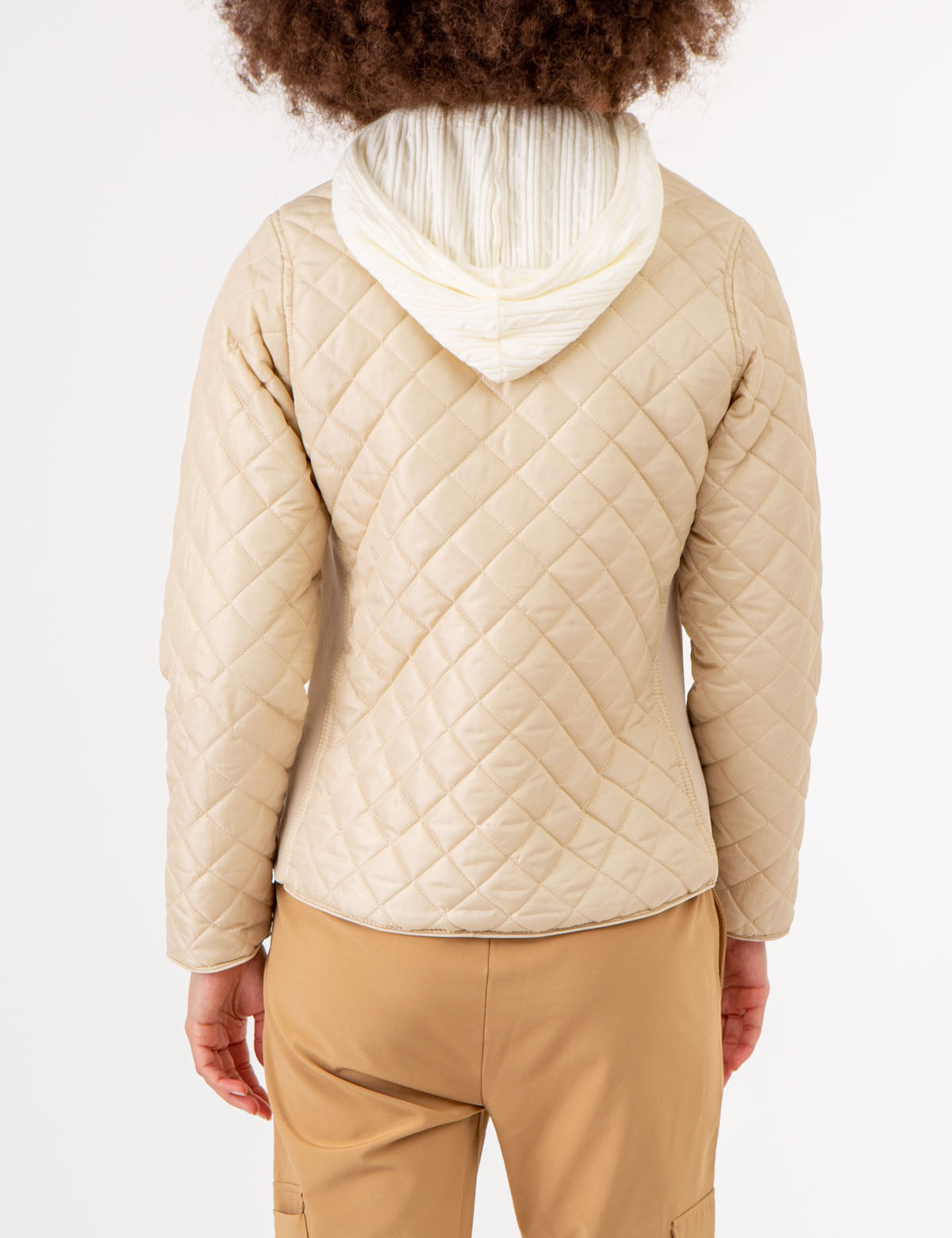 QUILTED SIDE KNIT MOTO JACKET– U.S. Polo Assn.